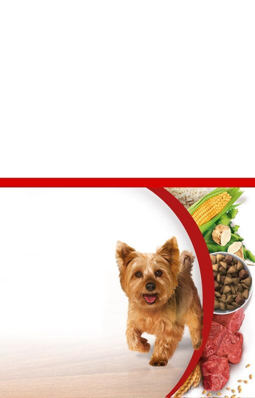Krmivo pro psy PURINA ONE® Mini | Nejlepší granule pro psy